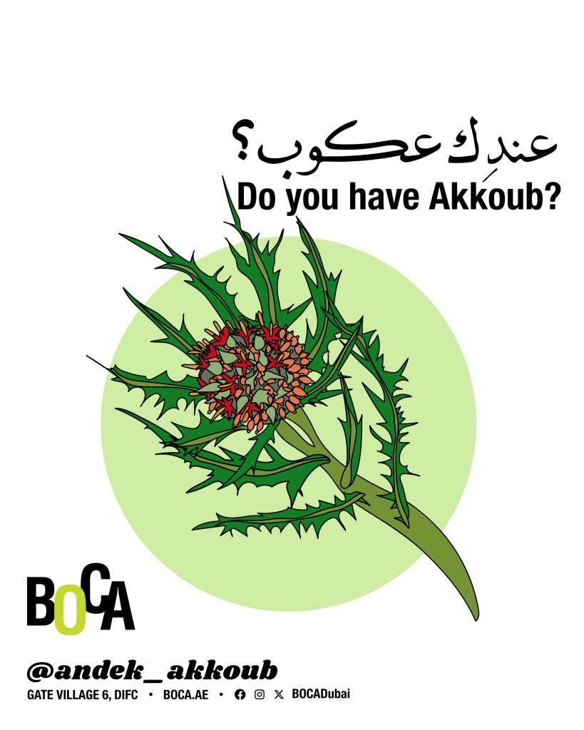 BOCA | 🪻SEASONAL AKKOUB MENU